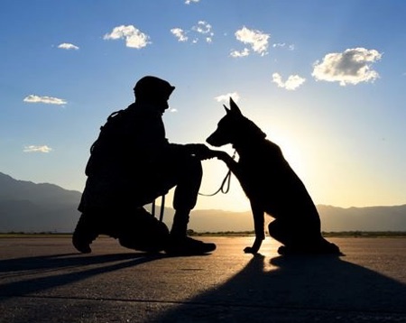 AVVA News and Announcements from National